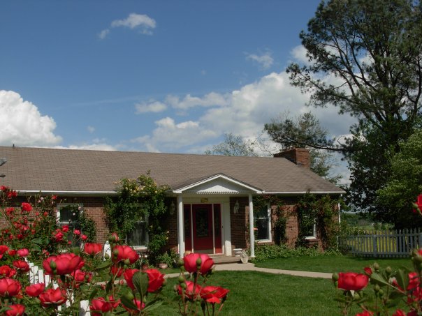 Rose Ridge Collies ~ Home